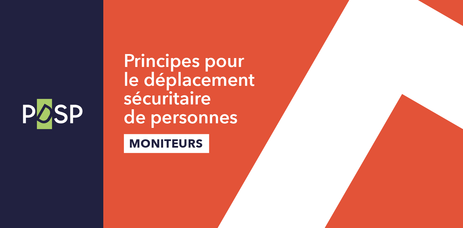 PDSP moniteurs - ASSTSAS